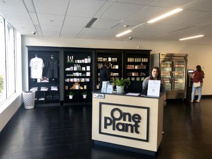 One Plant – Florida Marijuana Mentor