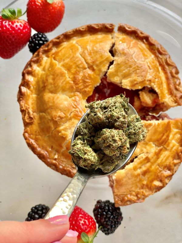 Vanilla Berry Pie by One Plant – Florida Marijuana Mentor